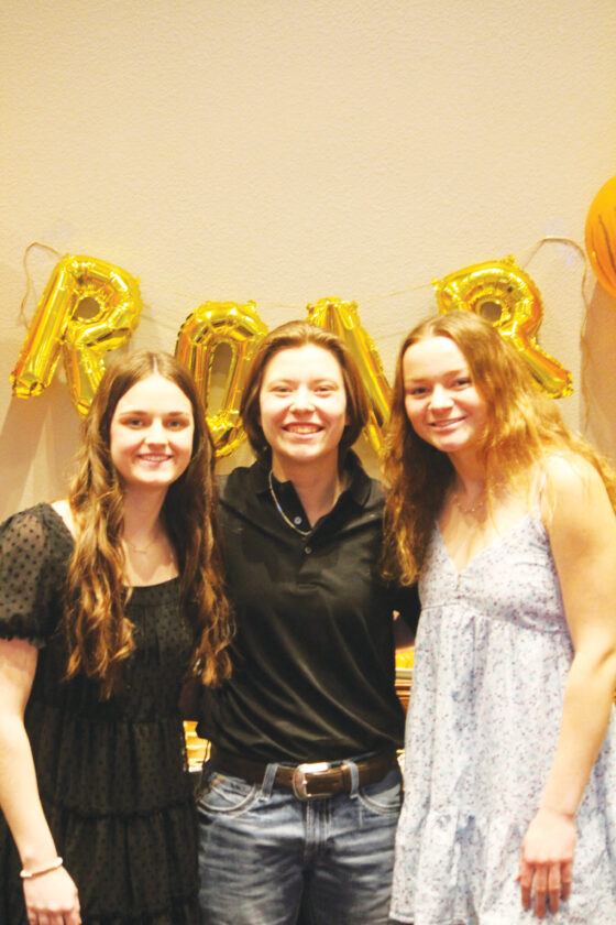 Marshall hockey says goodbye to DeVlieger, Waltz, Loft | News, Sports ...